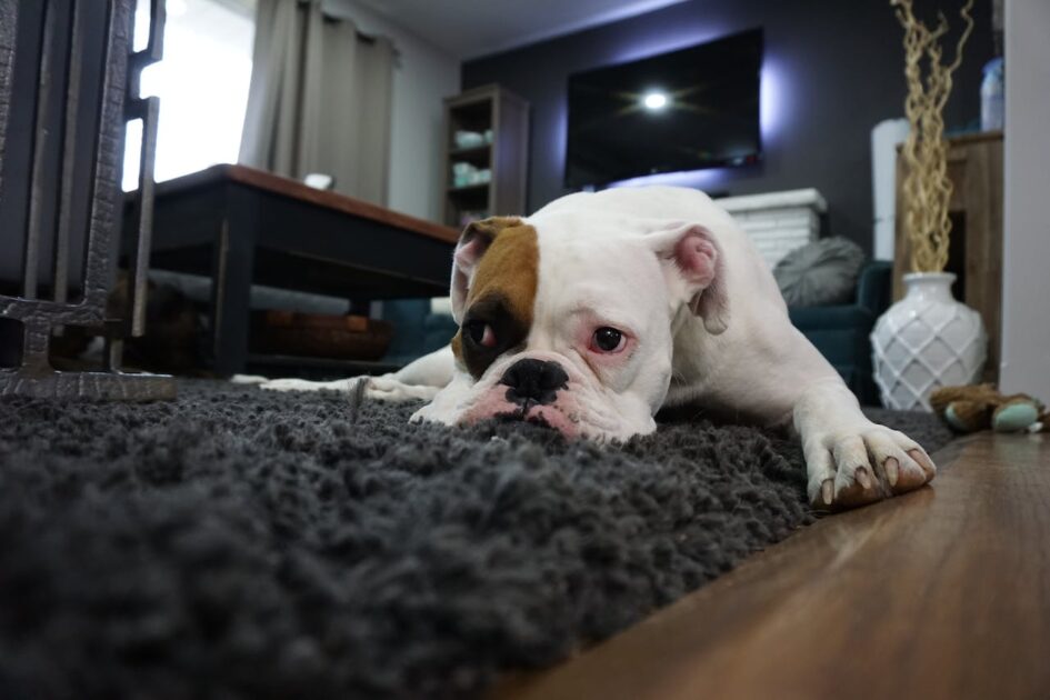 Beat The Slump: 9 Effective Tips On How To Overcome Laziness Beat The Slump: 9 Effective Tips On How To Overcome Laziness
